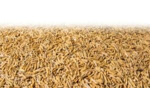 Using Rice Hulls For Gardening: Why it's the Better Choice ...