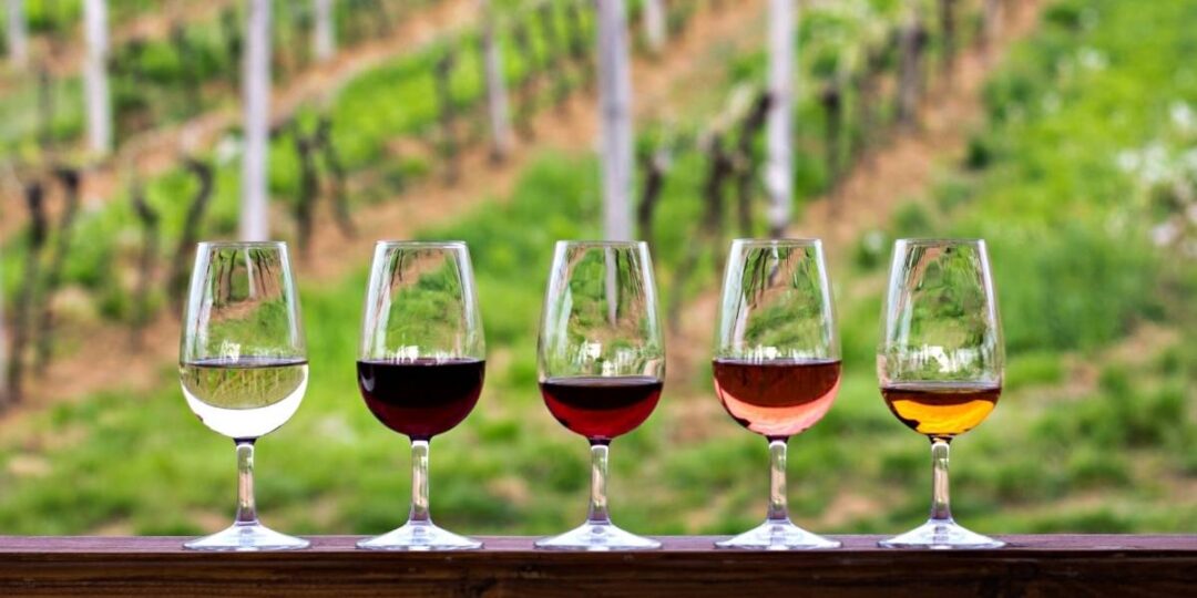 Using Wine on Plants: Here's What you Need to Know - Flourishing Plants