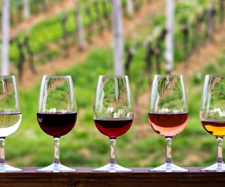 Using Wine on Plants: Here’s What you Need to Know – Flourishing Plants