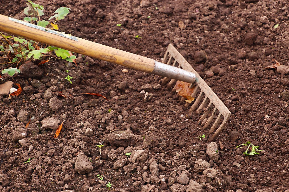 Mixing Manure into Soil: The Benefits Explained - Flourishing Plants