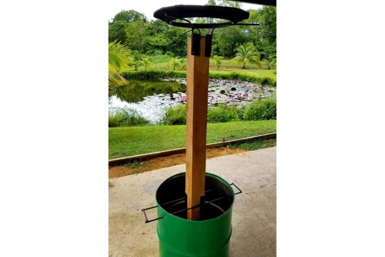 How To Build A Dragon Fruit Trellis: Design & Easy Instructions ...