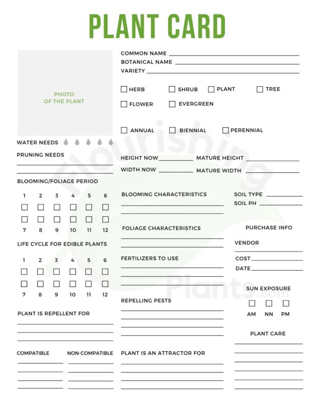 Free Plant Care Guides & Printables - Flourishing Plants