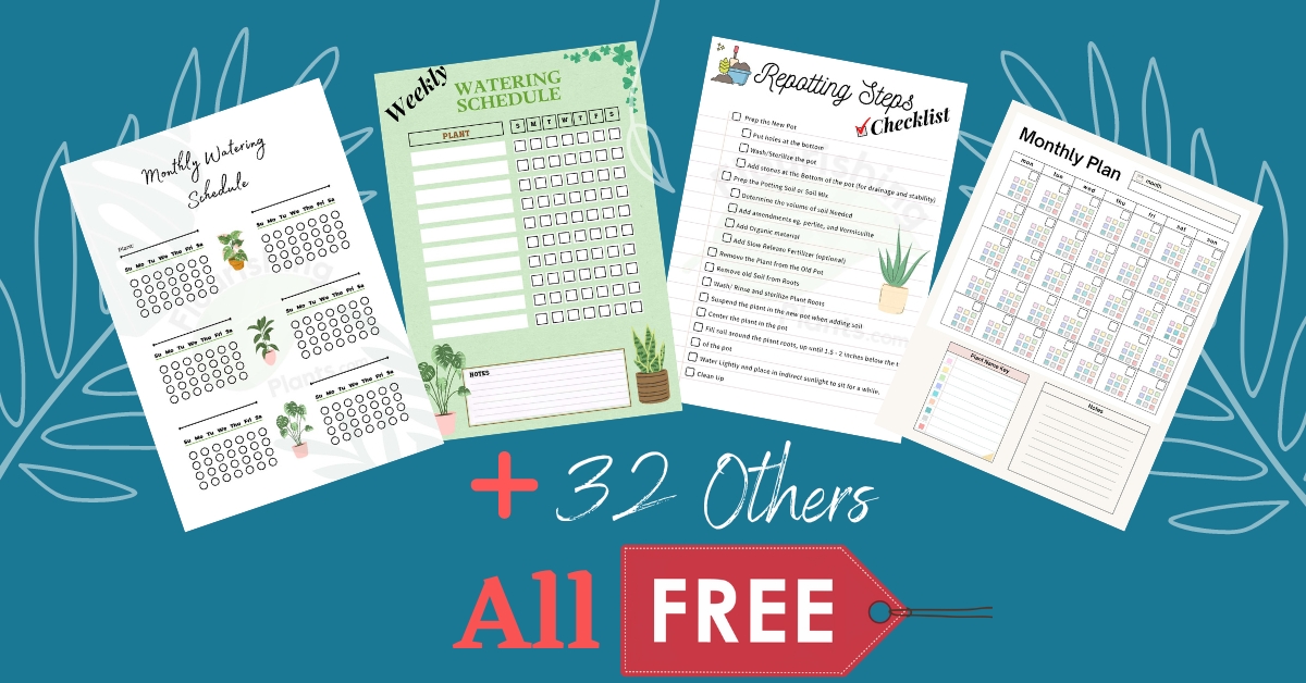 Free Plant Care Guides & Printables - Flourishing Plants