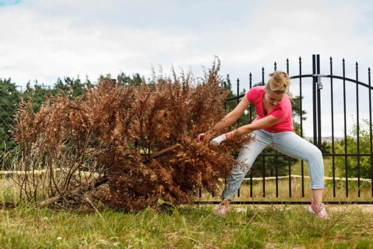 How to Remove Plants: Large, Small & The Methods Explained ...
