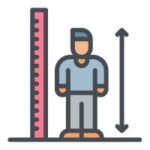 How Big Does A Money Tree Get? Facts & Growth Requirements ...