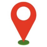 How Big Does A Money Tree Get? Facts & Growth Requirements ...