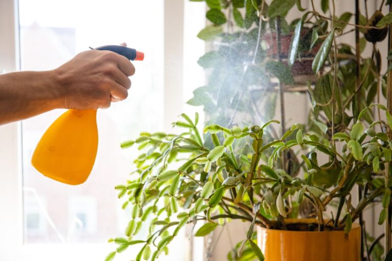 Using Hydrogen Peroxide On Plants: 11 Uses & Mixing Ratios ...